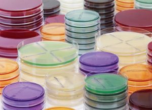 Manual Reagent – ETEST – FMPS Holding